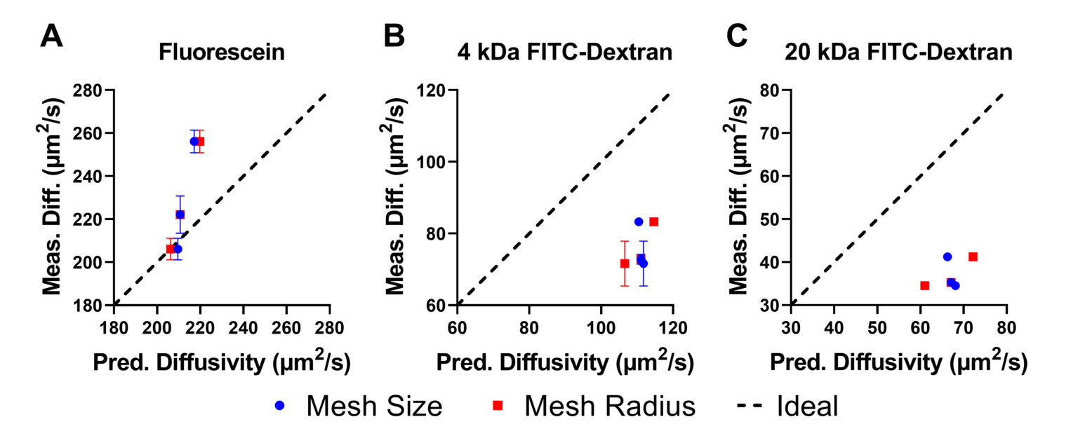 Diffusivity - Hydrogel Design